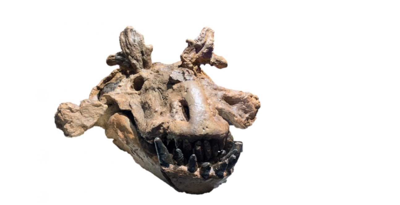 What Can 'Terrible Heads' Tell us About God's Designs? - The Master's ...